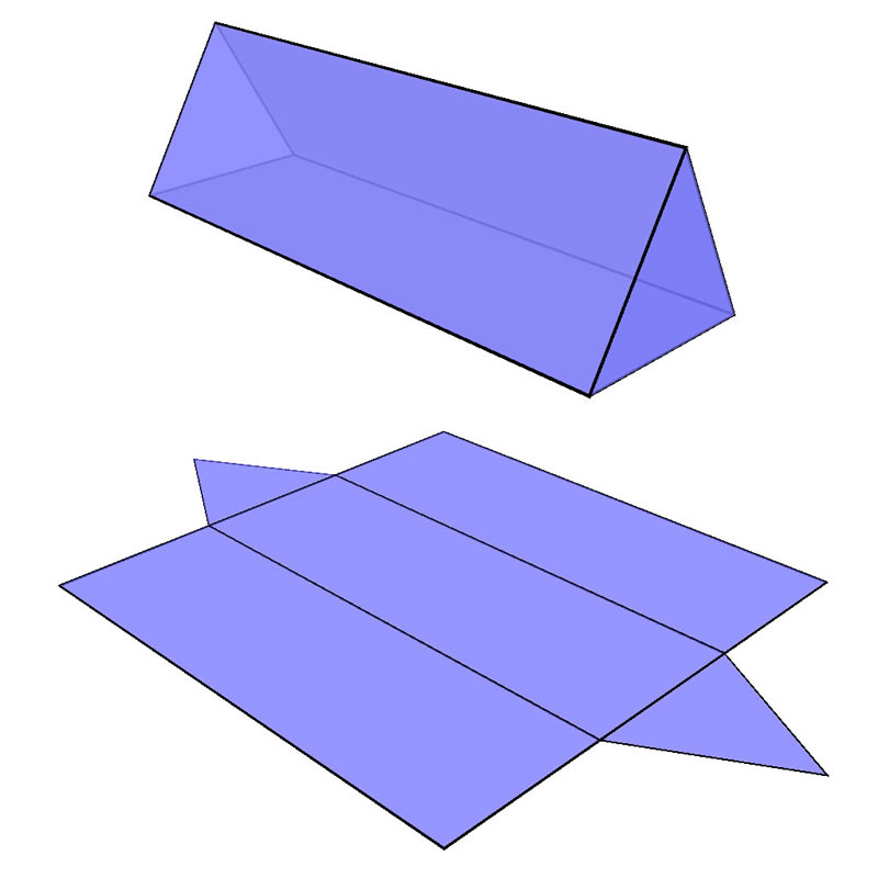 Simple Nets Gaia 3D Solutions For Schools Colleges Universities